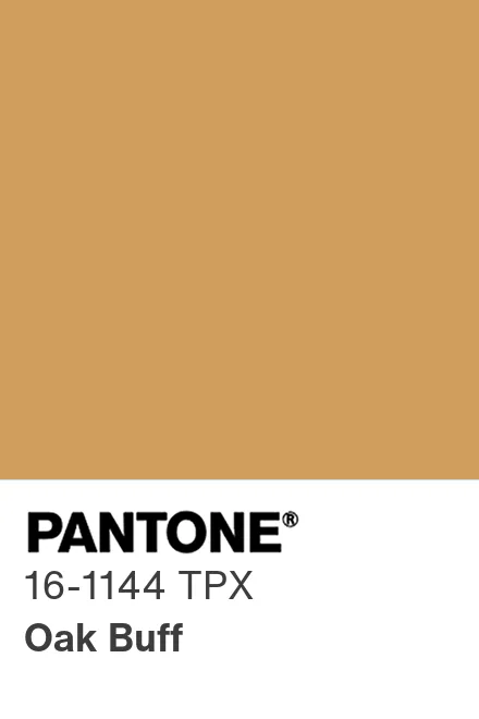 PANTONE 16-1144 TPG Oak Buff - Pantone色号库|Pantone潘通中国官网