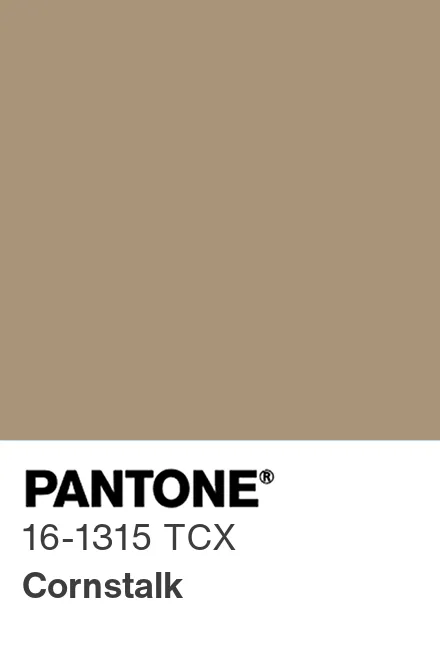 PANTONE 16-1315 TCX Cornstalk - Pantone色号库|Pantone潘通中国官网