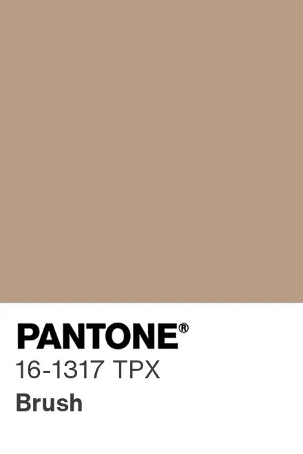PANTONE 16-1317 TPG Brush - Pantone色号库|Pantone潘通中国官网
