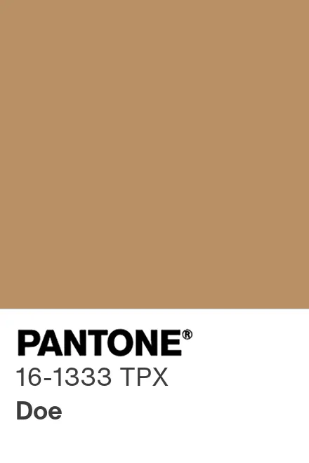 PANTONE 16-1333 TPG Doe - Pantone色号库|Pantone潘通中国官网
