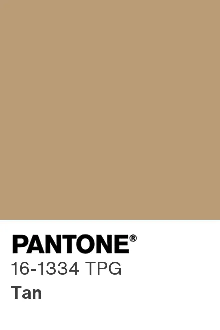 PANTONE 16-1334 TPG Tan - Pantone色号库|Pantone潘通中国官网