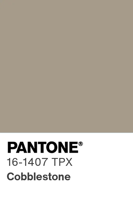 PANTONE 16-1407 TPG Cobblestone - Pantone色号库|Pantone潘通中国官网