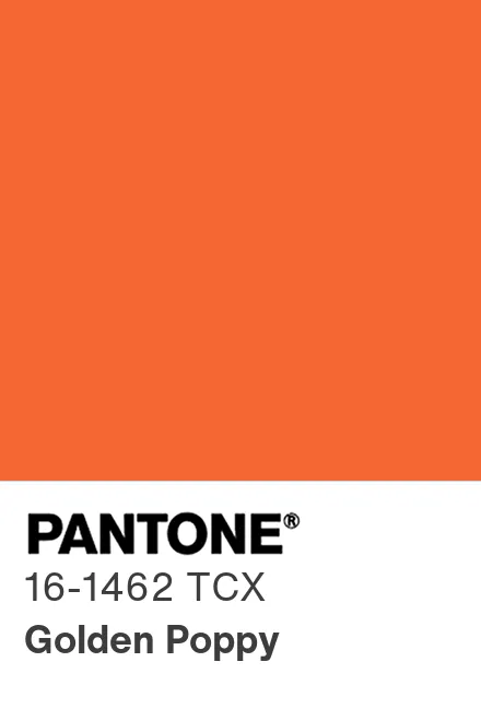 PANTONE 16-1462 TCX Golden Poppy - Pantone色号库|Pantone潘通中国官网