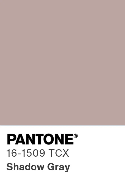 PANTONE 16-1509 TCX Shadow Gray - Pantone色号库|Pantone潘通中国官网