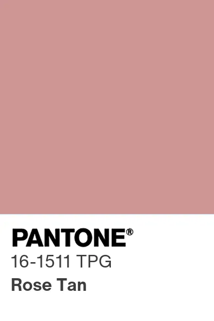 PANTONE 16-1511 TPG Rose Tan - Pantone色号库|Pantone潘通中国官网