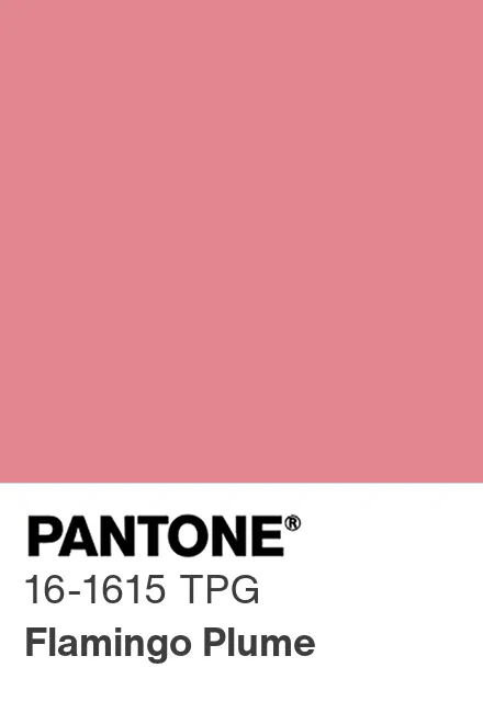 PANTONE 16-1615 TPG Flamingo Plume - Pantone色号库|Pantone潘通中国官网