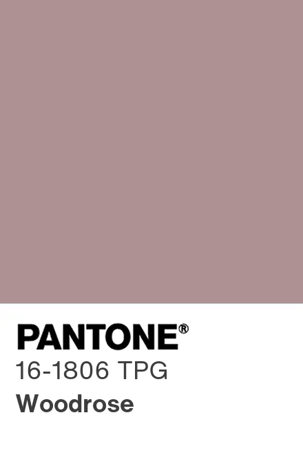 PANTONE 16-1806 TPG Woodrose - Pantone色号库|Pantone潘通中国官网