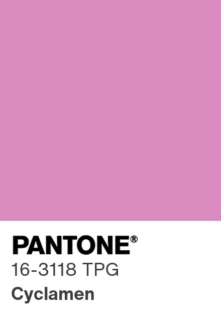 PANTONE 16-3118 TPG Cyclamen - Pantone色号库|Pantone潘通中国官网