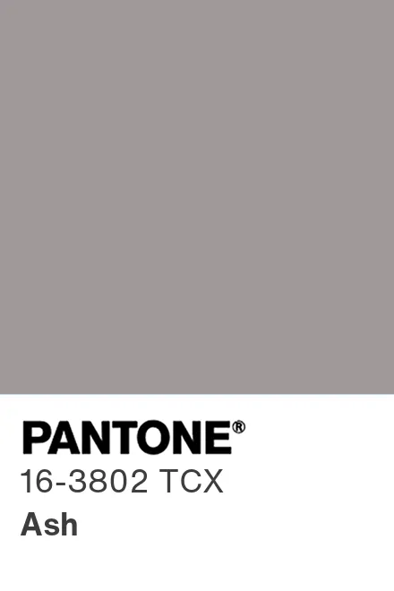 PANTONE 16-3802 TCX Ash - Pantone色号库|Pantone潘通中国官网