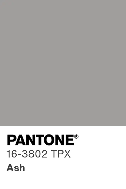 PANTONE 16-3802 TPG Ash - Pantone色号库|Pantone潘通中国官网