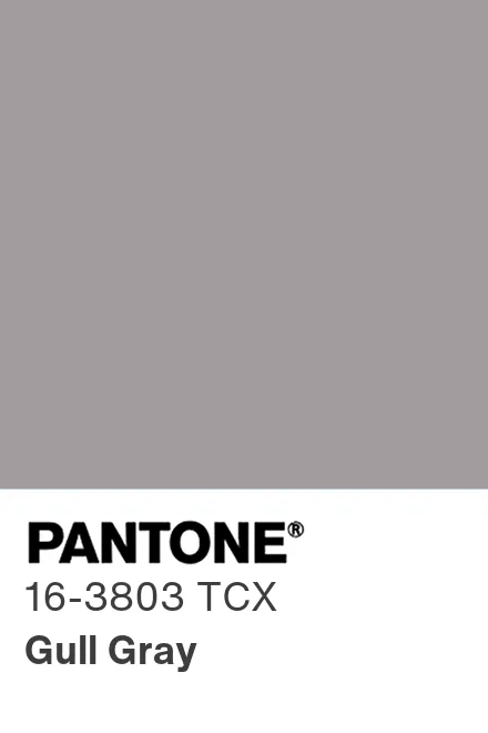 PANTONE 16-3803 TCX Gull Gray - Pantone色号库|Pantone潘通中国官网