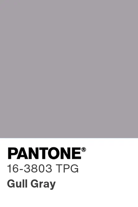 PANTONE 16-3803 TPG Gull Gray - Pantone色号库|Pantone潘通中国官网