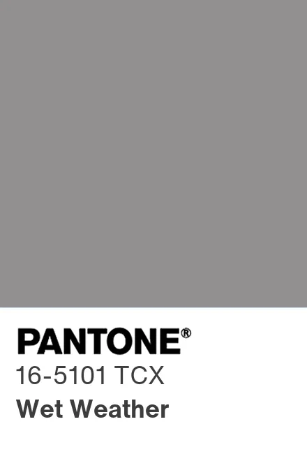 PANTONE 16-5101 TCX Wet Weather - Pantone色号库|Pantone潘通中国官网