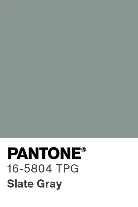PANTONE 16-5804 TPG Slate Gray - Pantone色号库|Pantone潘通中国官网