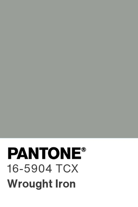 PANTONE 16-5904 TCX Wrought Iron - Pantone色号库|Pantone潘通中国官网