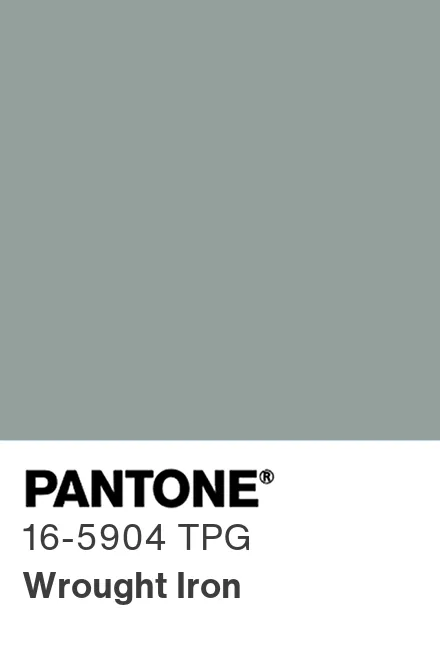 PANTONE 16-5904 TPG Wrought Iron - Pantone色号库|Pantone潘通中国官网