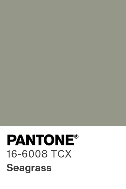 PANTONE 16-6008 TCX Seagrass - Pantone色号库|Pantone潘通中国官网