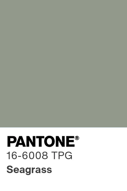 PANTONE 16-6008 TPG Seagrass - Pantone色号库|Pantone潘通中国官网