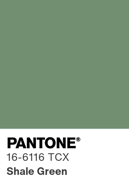 PANTONE 16-6116 TCX Shale Green - Pantone色号库|Pantone潘通中国官网