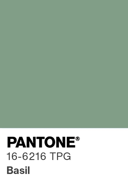 PANTONE 16-6216 TPG Basil - Pantone色号库|Pantone潘通中国官网