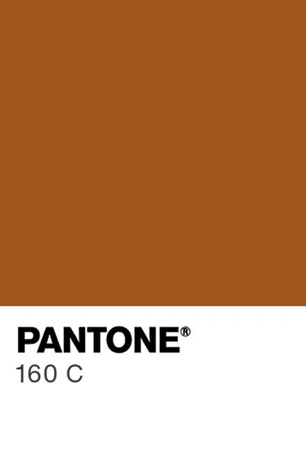 PANTONE 160 C - Pantone色号库|Pantone潘通中国官网