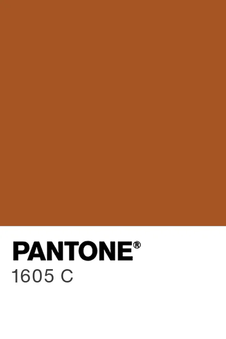 PANTONE 1605 C - Pantone色号库|Pantone潘通中国官网