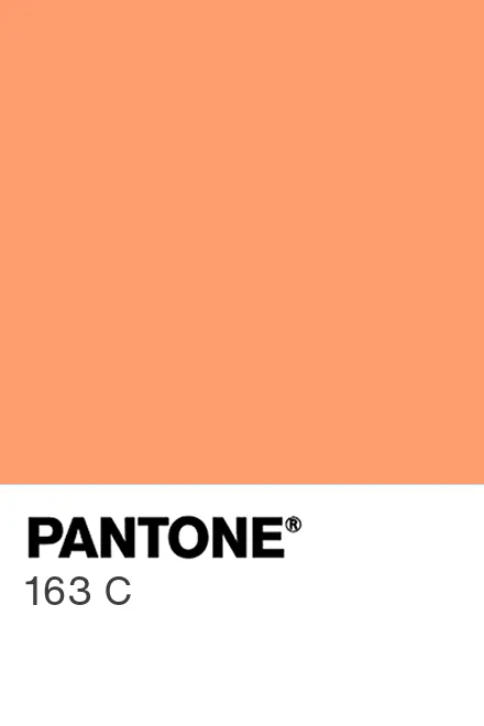 PANTONE 163 C - Pantone色号库|Pantone潘通中国官网