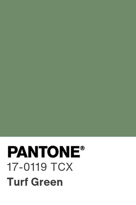 PANTONE 17-0119 TCX Turf Green - Pantone色号库|Pantone潘通中国官网