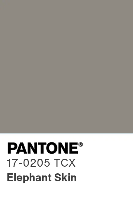 PANTONE 17-0205 TCX Elephant Skin - Pantone色号库|Pantone潘通中国官网