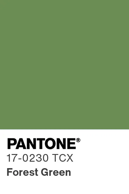 PANTONE 17-0230 TCX Forest Green - Pantone色号库|Pantone潘通中国官网