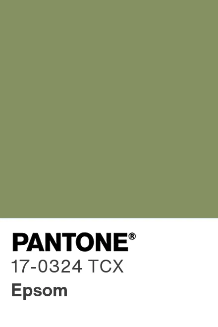 PANTONE 17-0324 TCX Epsom - Pantone色号库|Pantone潘通中国官网