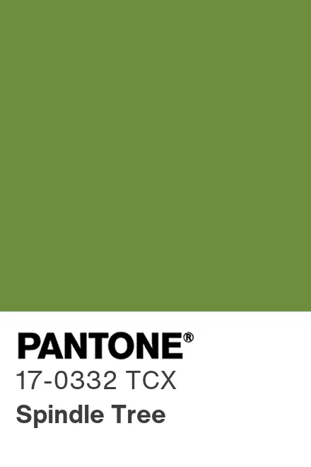 PANTONE 17-0332 TCX Spindle Tree - Pantone色号库|Pantone潘通中国官网