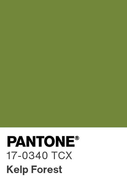 PANTONE 17-0340 TCX Kelp Forest - Pantone色号库|Pantone潘通中国官网