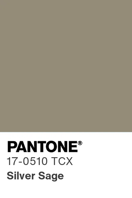 PANTONE 17-0510 TCX Silver Sage - Pantone色号库|Pantone潘通中国官网