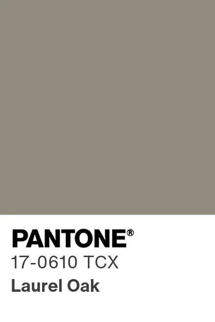 PANTONE 17-0610 TCX Laurel Oak - Pantone色号库|Pantone潘通中国官网