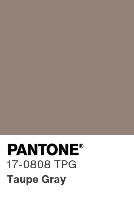 PANTONE 17-0808 TPG Taupe Gray - Pantone色号库|Pantone潘通中国官网