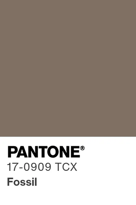 PANTONE 17-0909 TCX Fossil - Pantone色号库|Pantone潘通中国官网