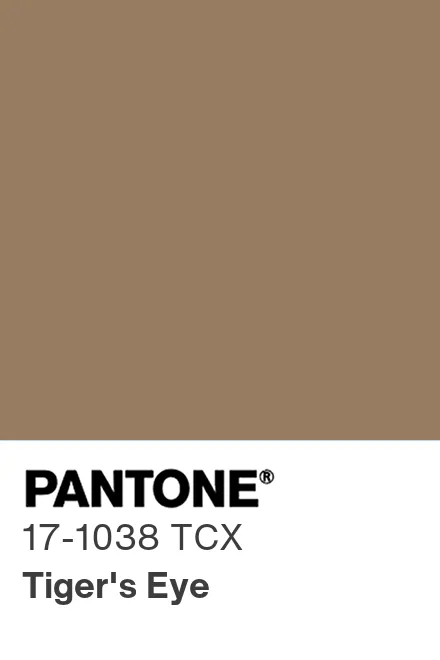 PANTONE 17-1038 TCX Tiger's Eye - Pantone色号库|Pantone潘通中国官网