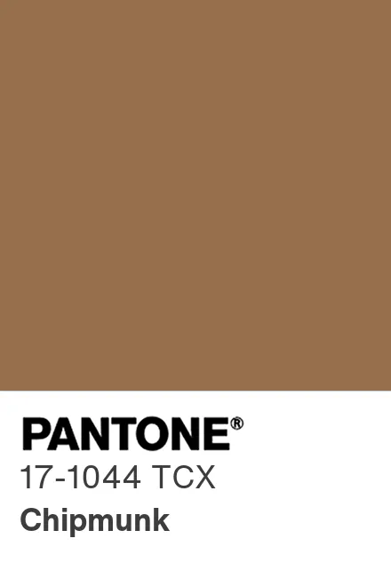 PANTONE 17-1044 TCX Chipmunk - Pantone色号库|Pantone潘通中国官网