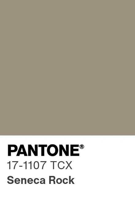 PANTONE 17-1107 TCX Seneca Rock - Pantone色号库|Pantone潘通中国官网