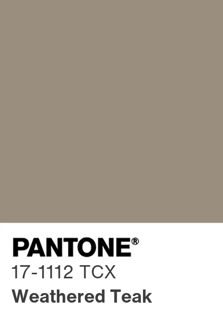 PANTONE 17-1112 TCX Weathered Teak - Pantone色号库|Pantone潘通中国官网