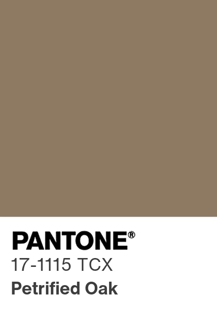 PANTONE 17-1115 TCX Petrified Oak - Pantone色号库|Pantone潘通中国官网