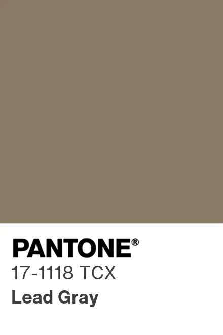 PANTONE 17-1118 TCX Lead Gray - Pantone色号库|Pantone潘通中国官网