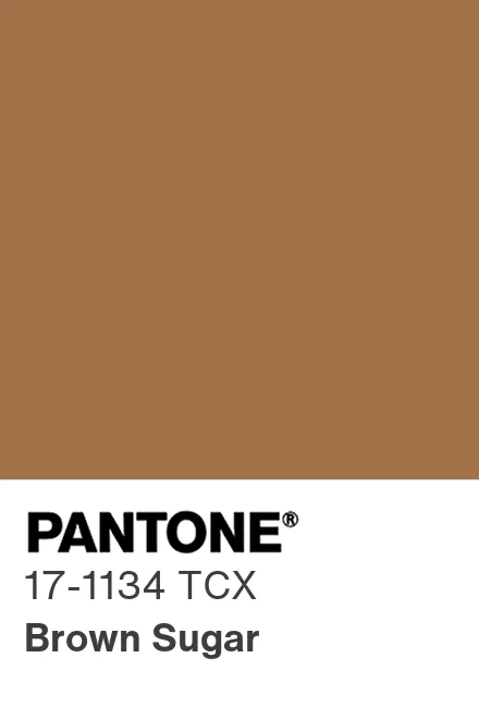 PANTONE 17-1134 TCX Brown Sugar - Pantone色号库|Pantone潘通中国官网