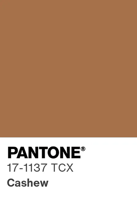 PANTONE 17-1137 TCX Cashew - Pantone色号库|Pantone潘通中国官网