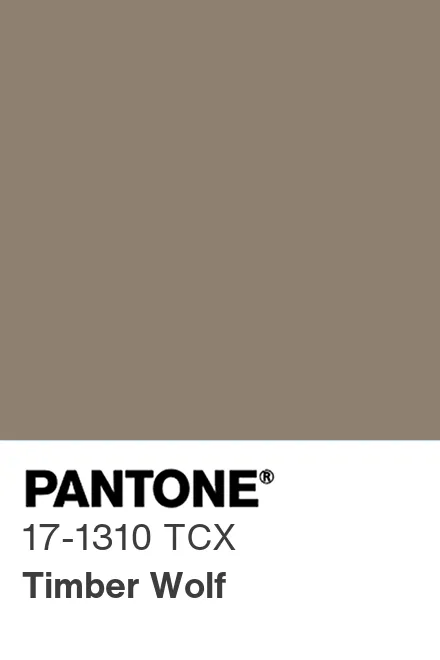 PANTONE 17-1310 TCX Timber Wolf - Pantone色号库|Pantone潘通中国官网