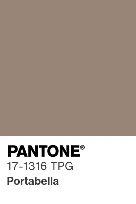 PANTONE 17-1316 TPG Portabella - Pantone色号库|Pantone潘通中国官网
