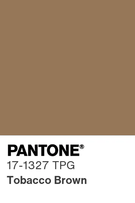 PANTONE 17-1327 TPG Tobacco Brown - Pantone色号库|Pantone潘通中国官网