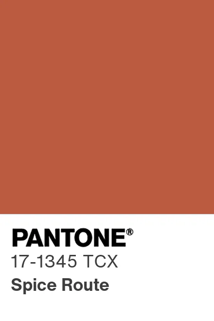 PANTONE 17-1345 TCX Spice Route - Pantone色号库|Pantone潘通中国官网