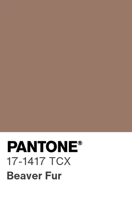 PANTONE 17-1417 TCX Beaver Fur - Pantone色号库|Pantone潘通中国官网